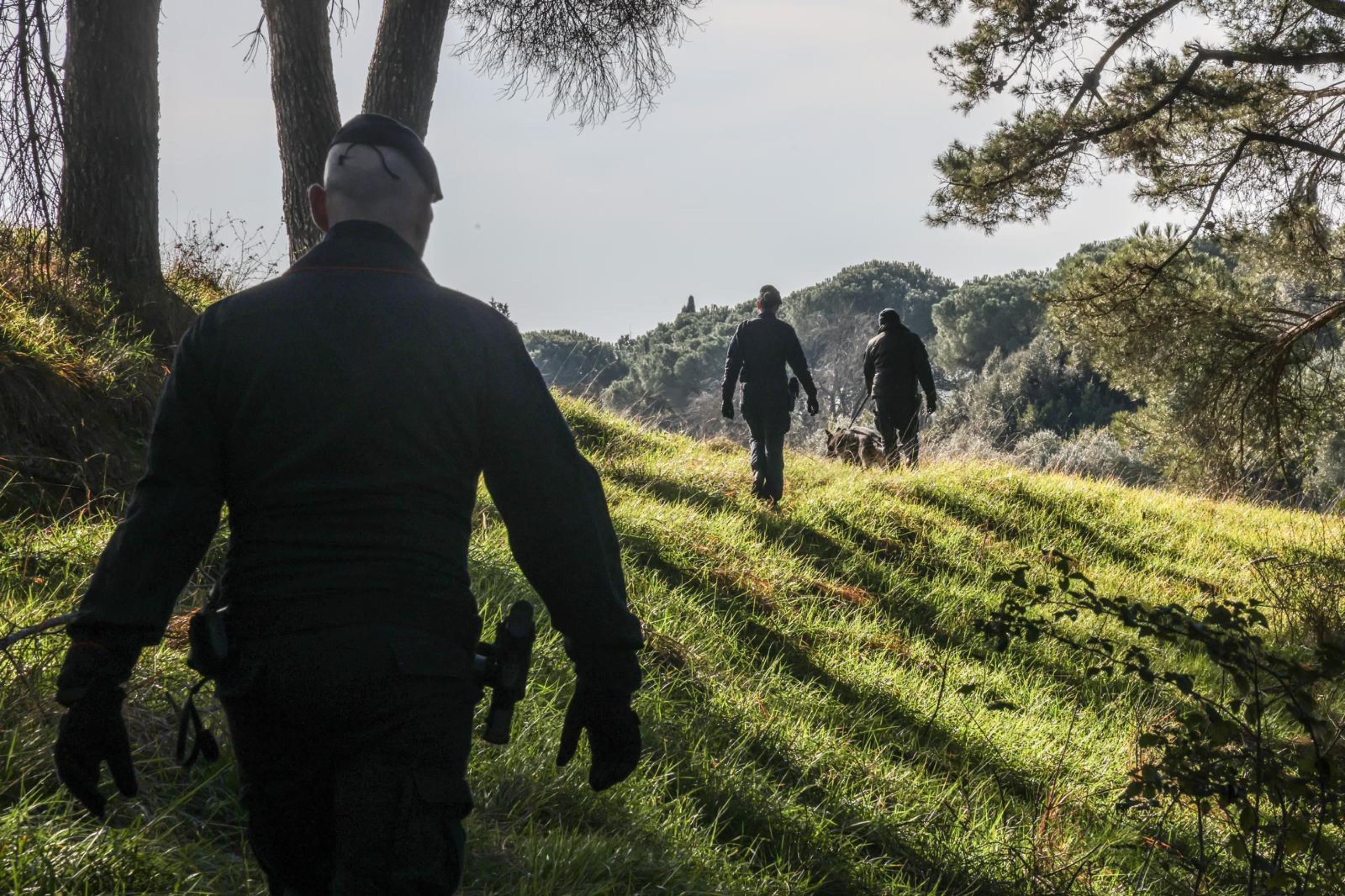 Controlli straordinari Cc in boschi Cerbaie, 7 arresti, 1 kg droga ...