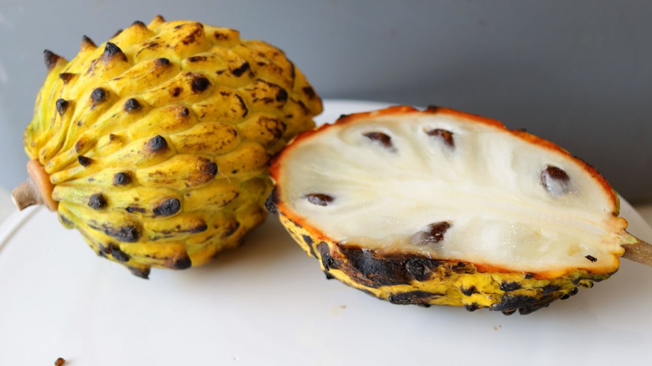 How to eat rollinia or biriba and taste test rare fruit
