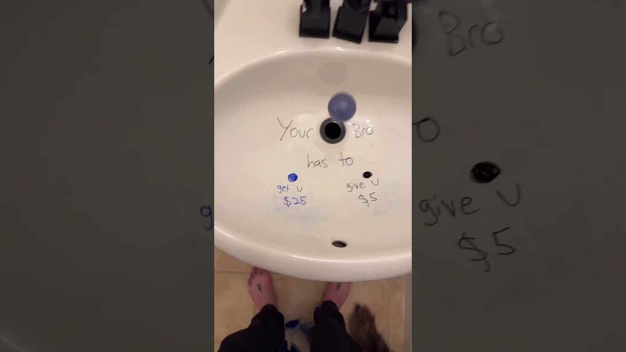 Cat helps judge results in the epic Balls of Fate game