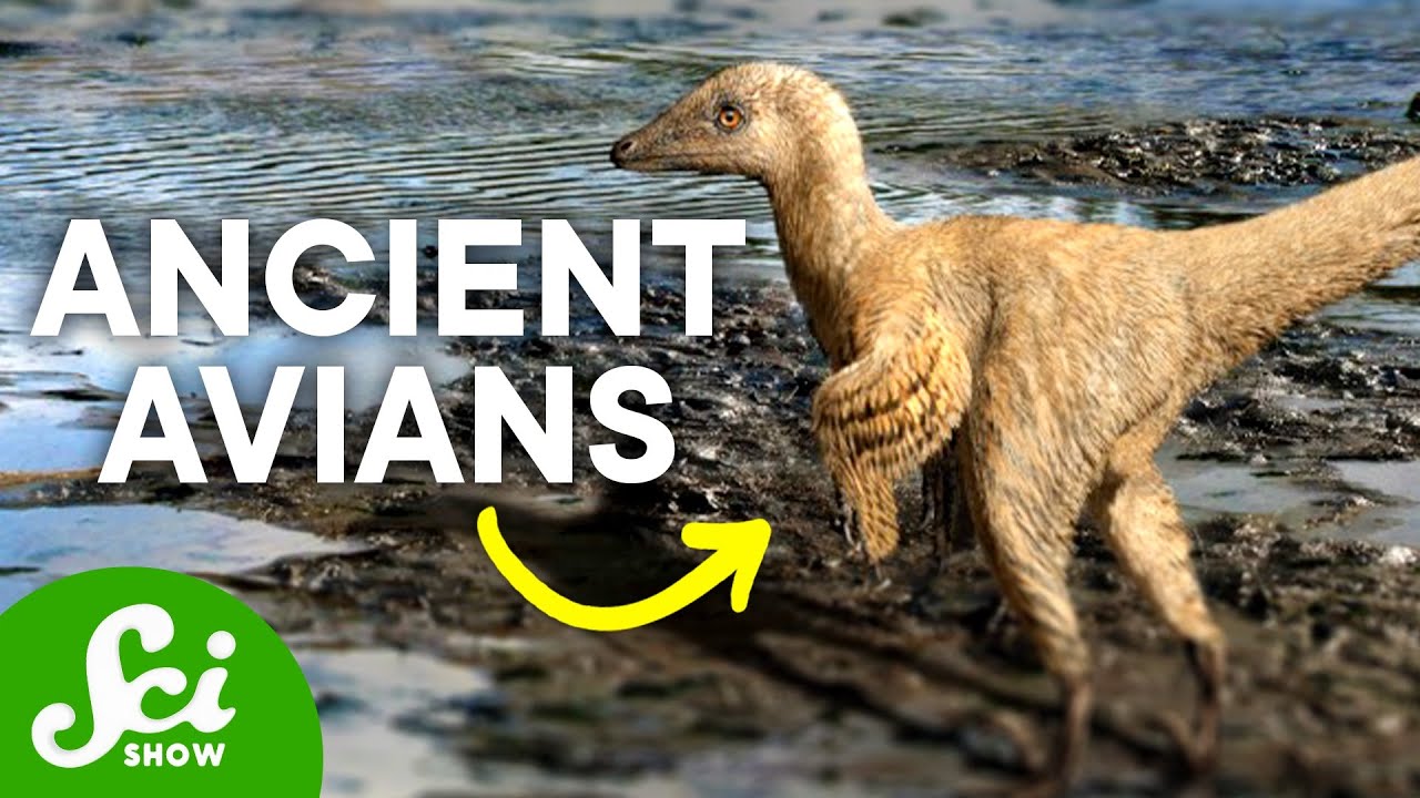 The birds that lived with dinosaurs