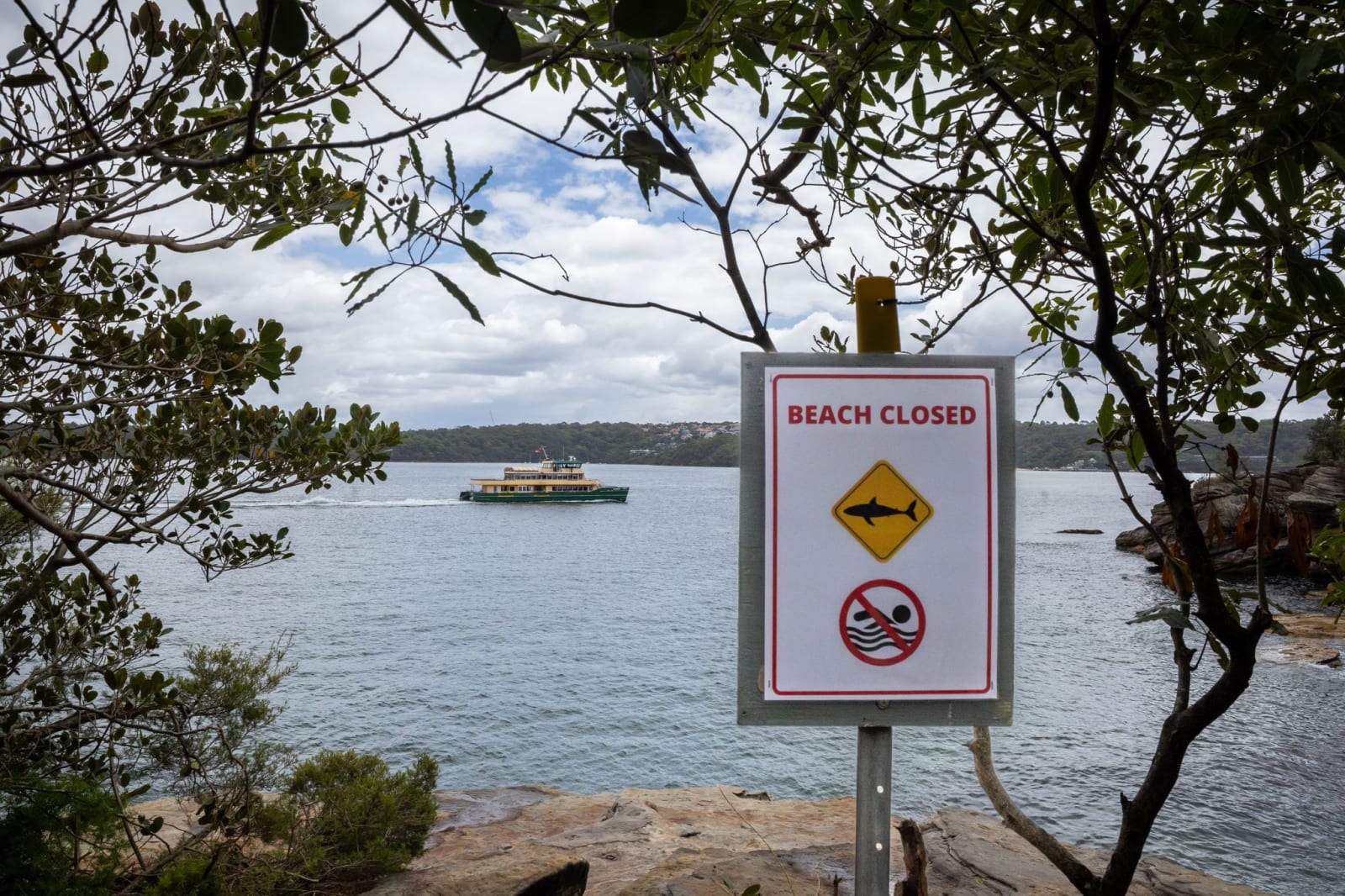 Boy, 12, dies days after shark attack in Sydney