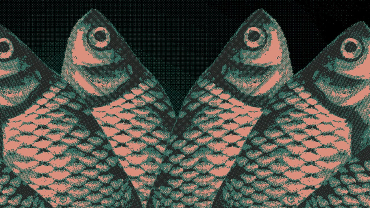 Meaningless random numbers - official announcement trailer