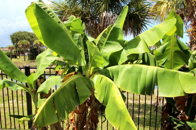 Homeowner furious after returning home to find neighbor trespassed on ...