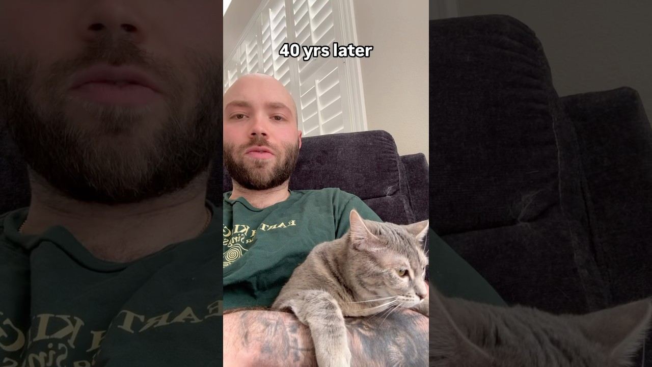 Our cat is actually ready and alert at all times