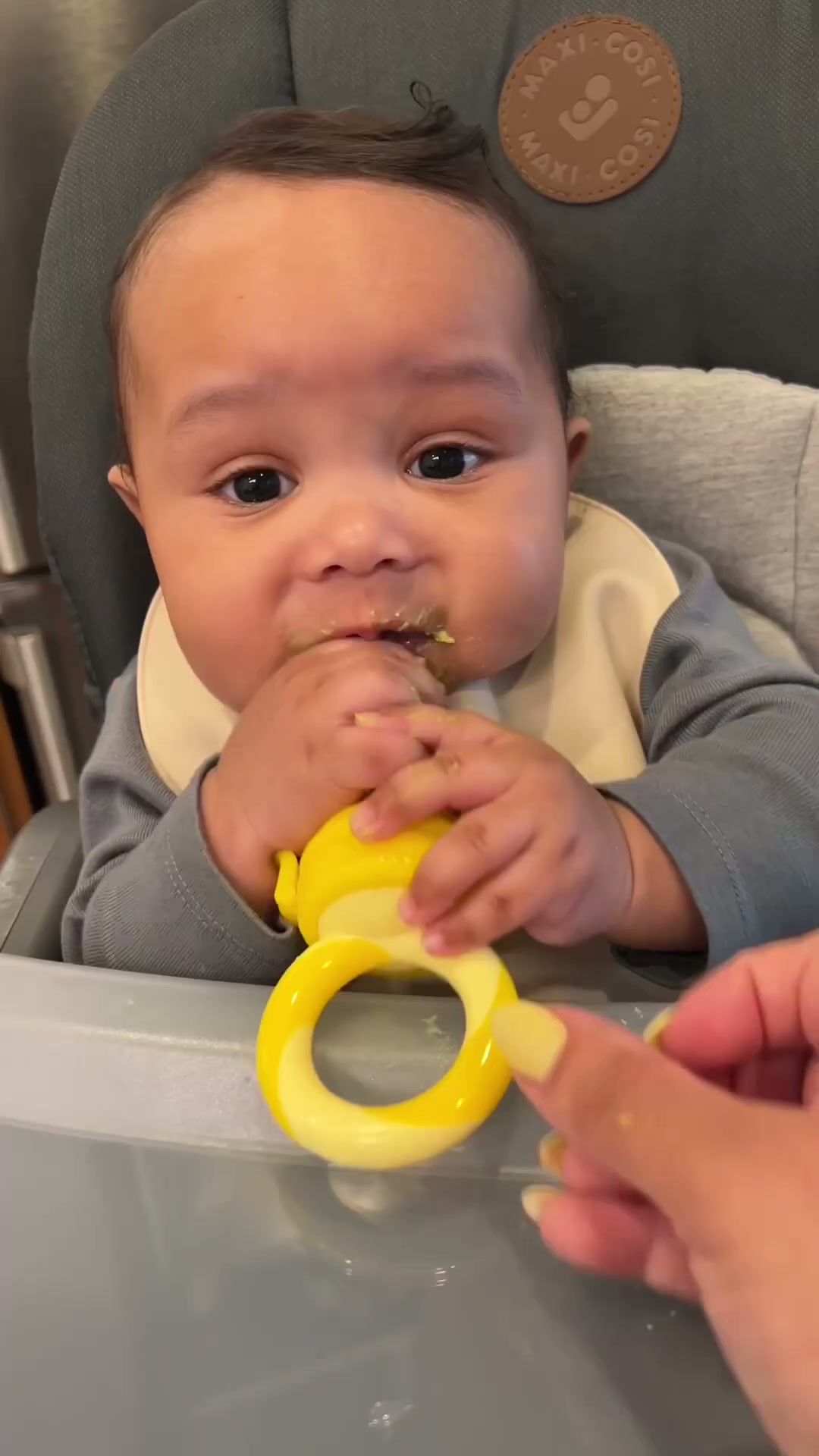 Baby starts solids | Avocados 🥑 #baby #firstfood #blw #blwideas # ...