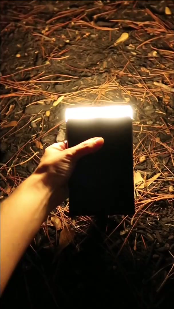 Transform your home with stunning landscape lighting for under $50