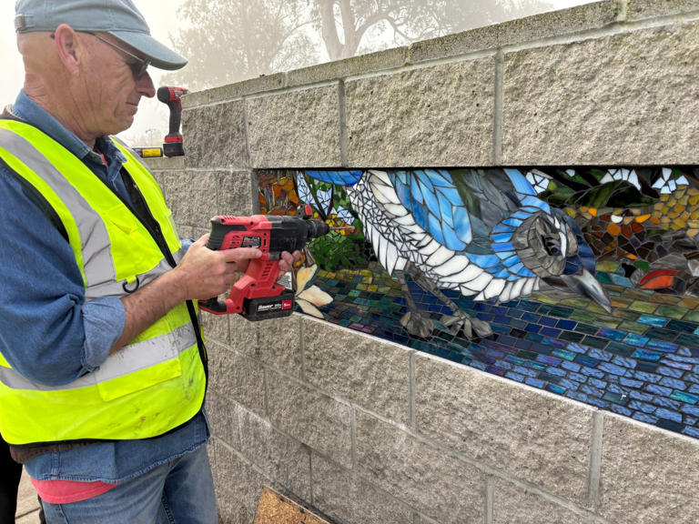 Great Feather River Mural Project complete