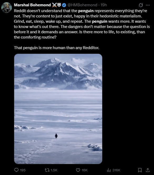 Have you seen the viral Nihilist Penguin video? Here's why the internet ...