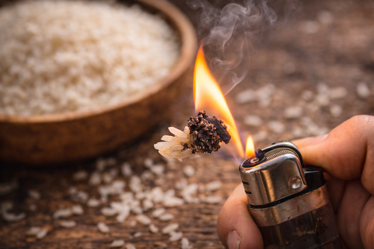 Plastic rice: Myth or reality? How to identify real rice