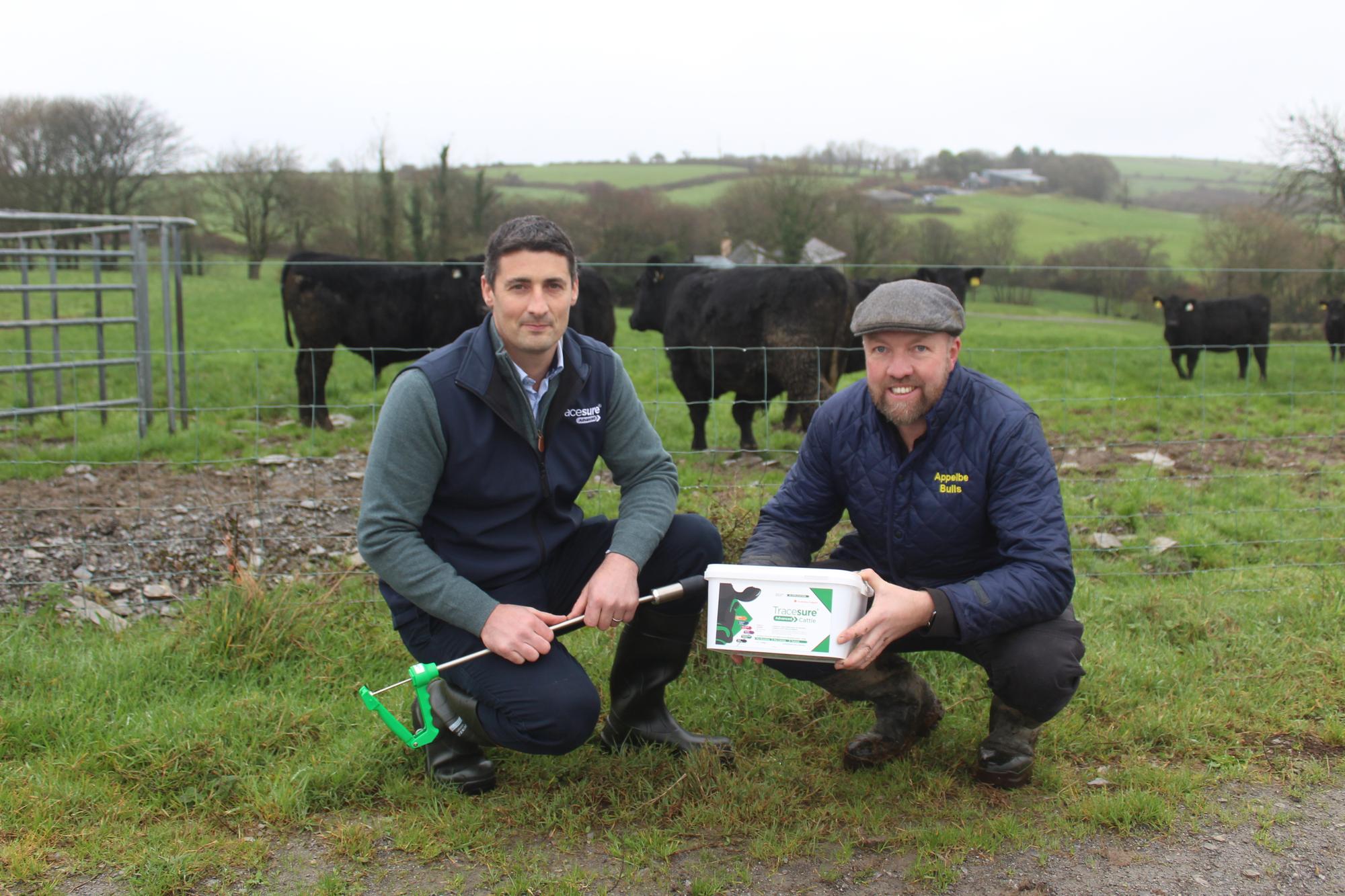 New Tracesure® Advanced cattle boluses are now available