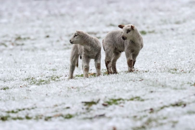 Met Office names all the UK areas facing snow on Sunday - full list