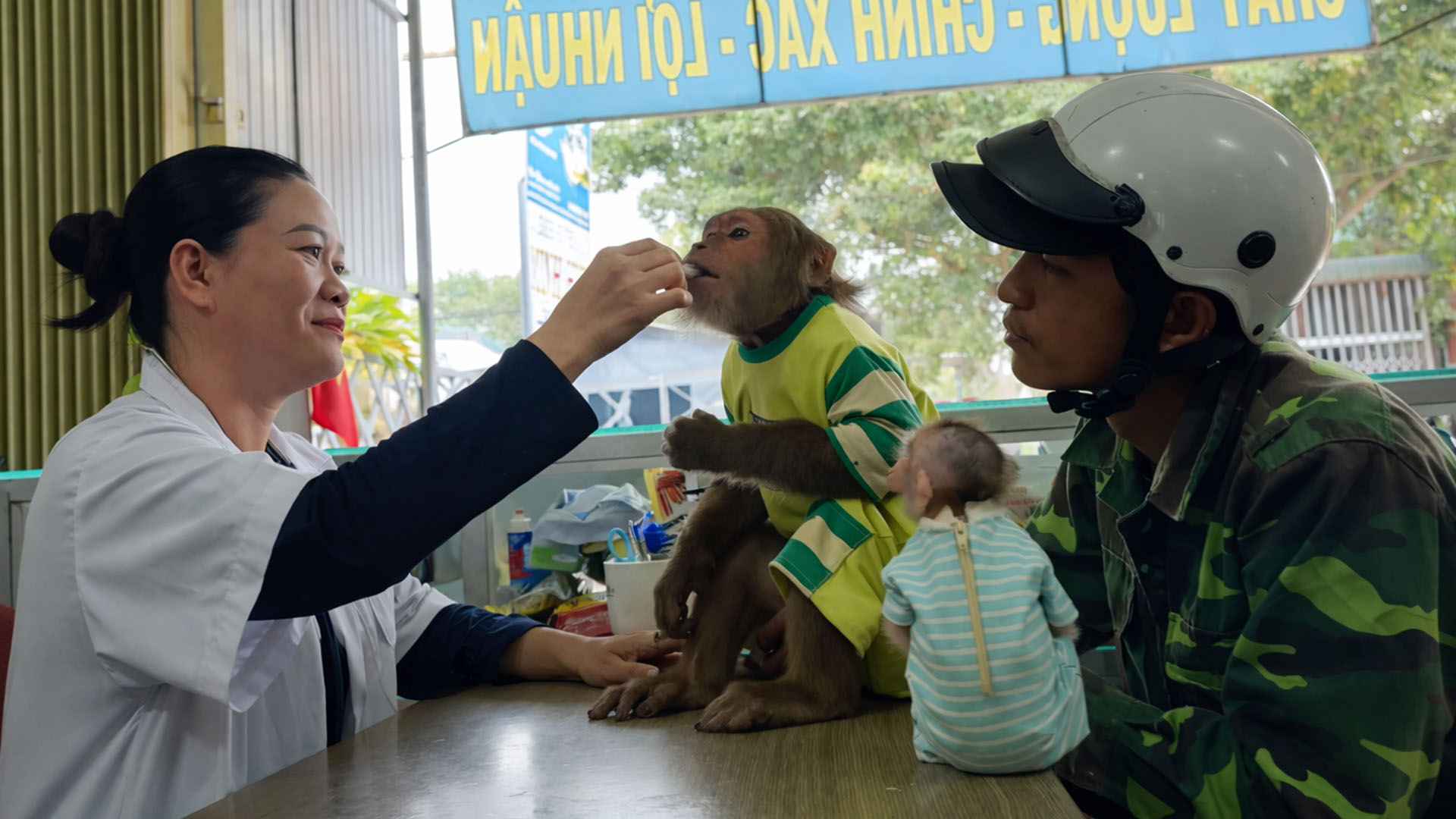 Cutis Visits the Doctor in the Village