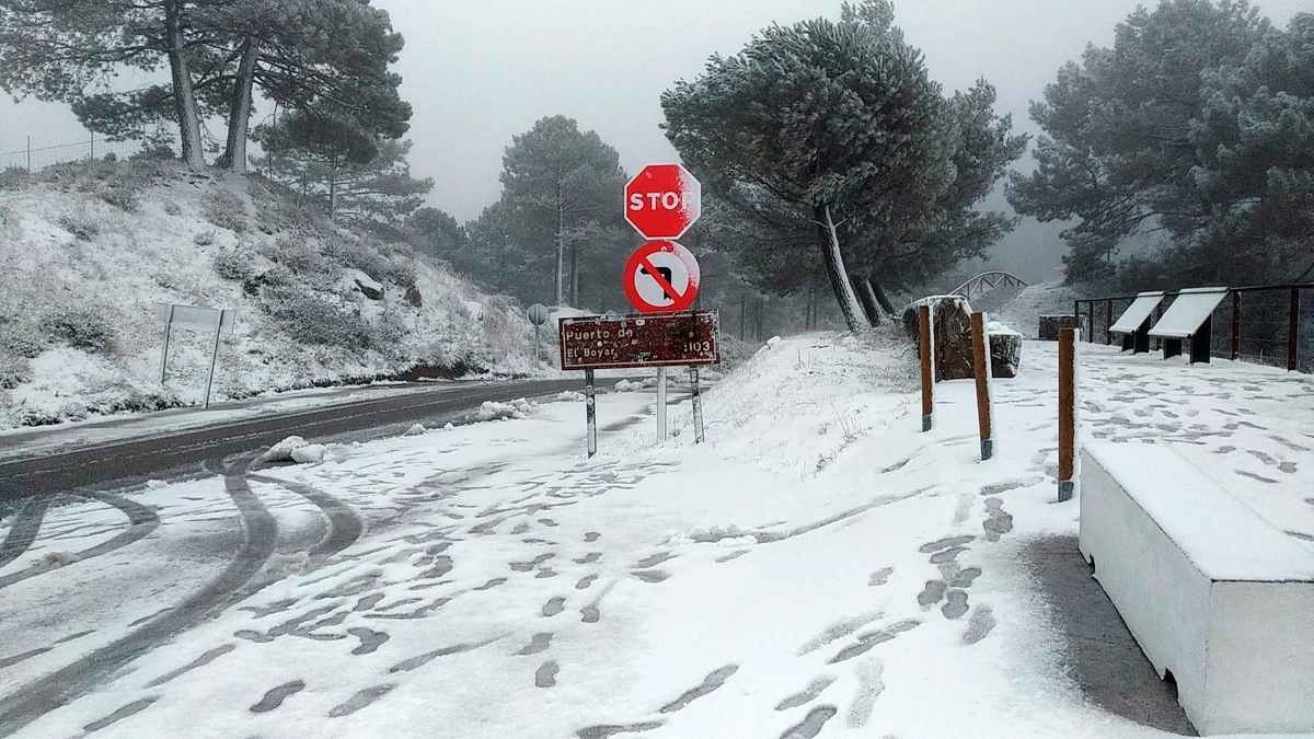 La Sierra de Grazalema amanece cubierta de nieve