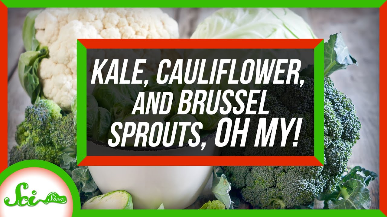 Kale, cauliflower, and Brussels sprouts are the same species