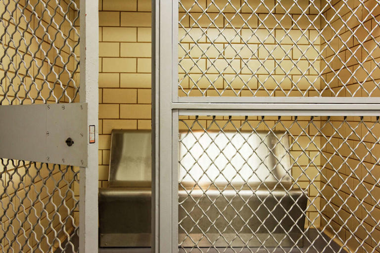 A Texas inmate's cat fundraiser went viral. Then came solitary confinement