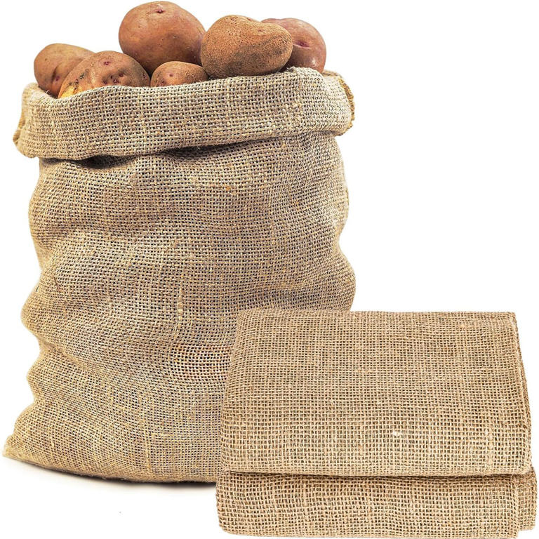 How to grow a sweet potato in water – 7 simple steps to get lots of new ...