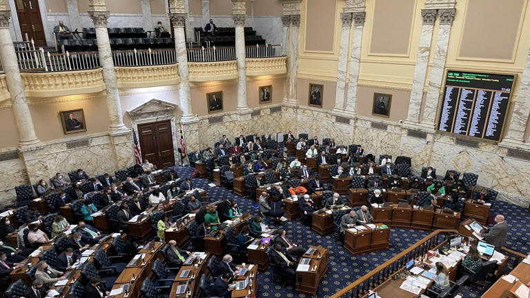 House wastes no time taking up congressional redistricting bill