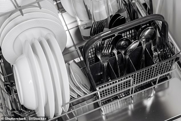 Should cutlery go up or down in the dishwasher? Scientists finally ...