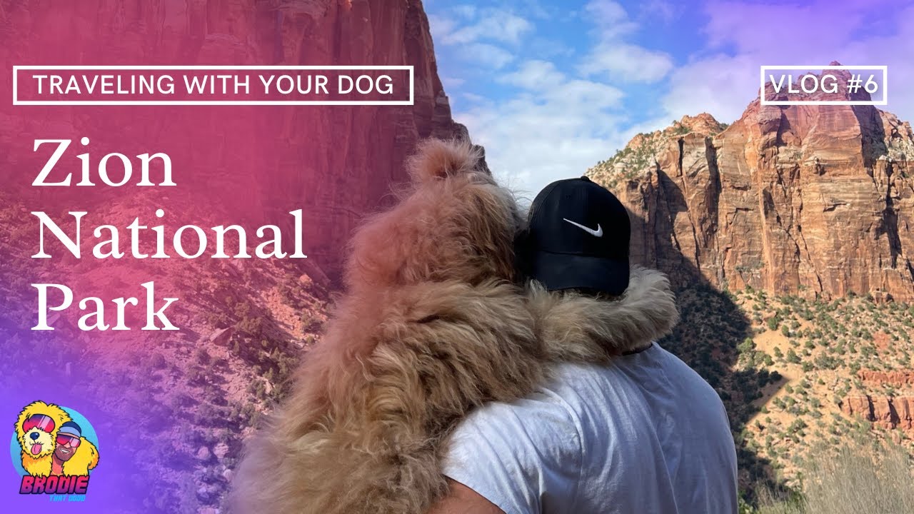 Epic RV road trip with my dog Brodie through Zion National Park!