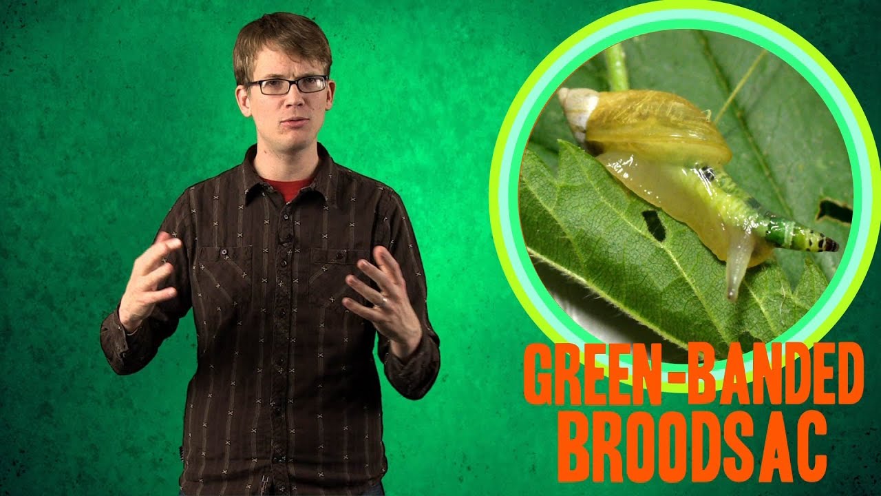 Mind-controlling parasites!