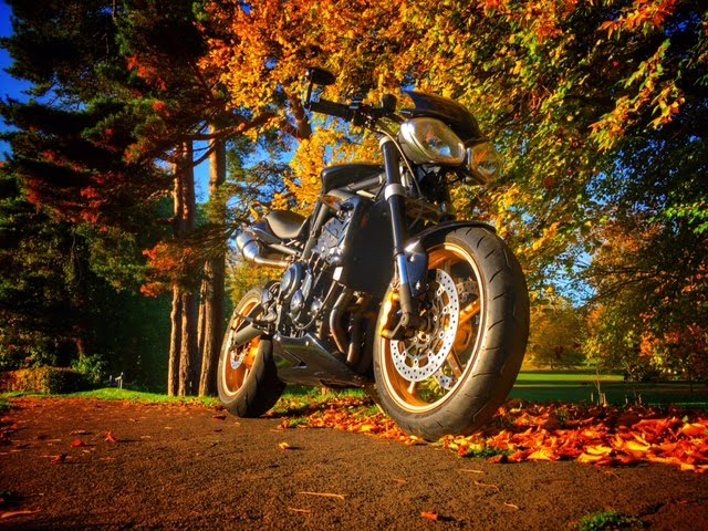 Autumn leaves by Street Triple
