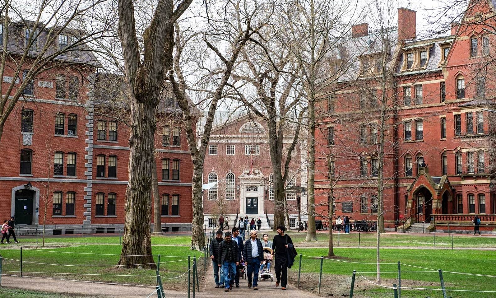 Harvard sees rise in students from China, South Korea despite visa ...