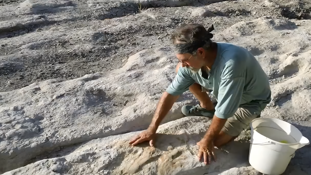 18,000 dinosaur tracks unearthed—historic find sets world record