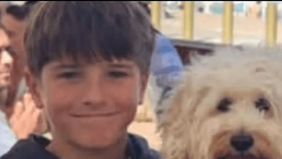 Boy, 12, dies after shark attack in Sydney Harbour