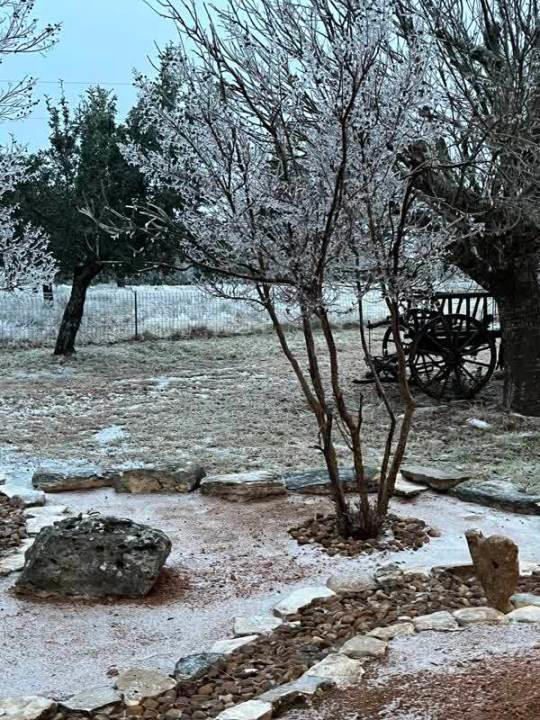 Live blog: Central Texas braces for extreme cold, freezing rain