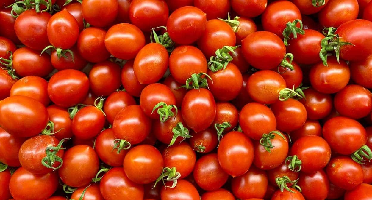 Lo que le pasa al cuerpo si te comes un tomate cada día