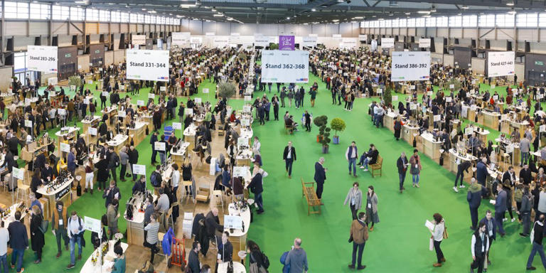 Millésime Bio 2026 : ces domaines à découvrir qui poussent le bio à fond