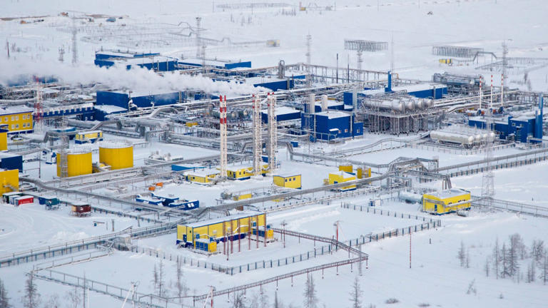 BASF streicht Hunderte Millionen Euro Steuergeld ein