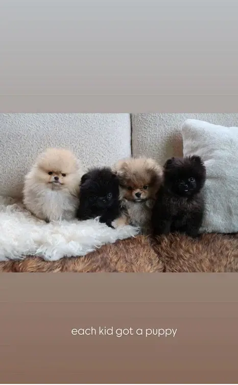 Kim Kardashian shares the funny names her kids picked for their 4 dogs