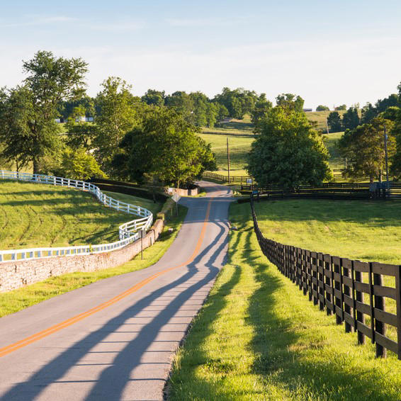 Things you should do before moving from the city to the countryside