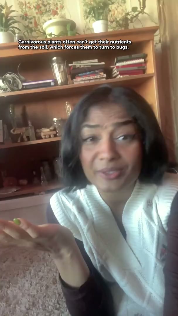 The carnivorous plant nobody knew about #shorts #science #plants #biology