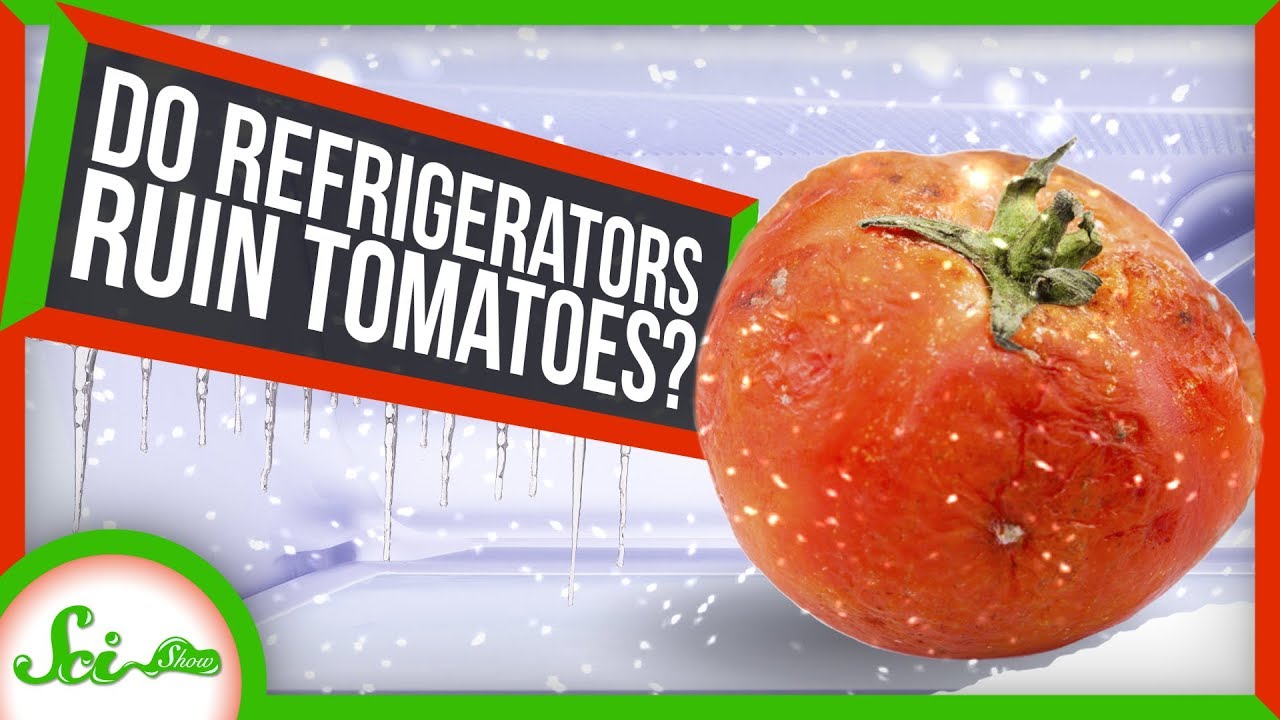 Why you should never put tomatoes in the fridge!