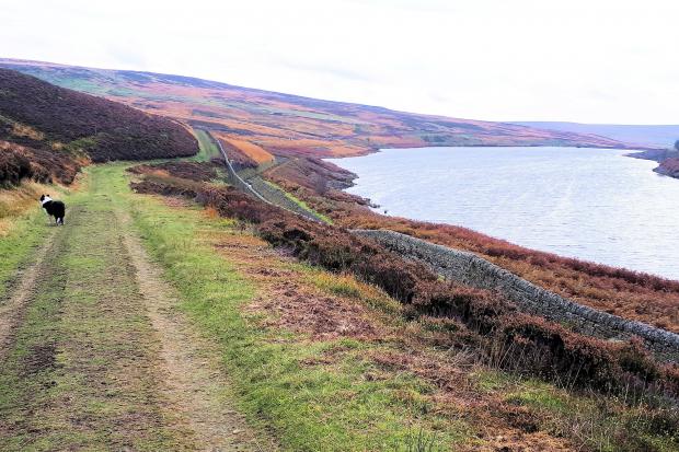 Explore Hebden Bridge through reservoirs, moorland and a 'gold rush city'
