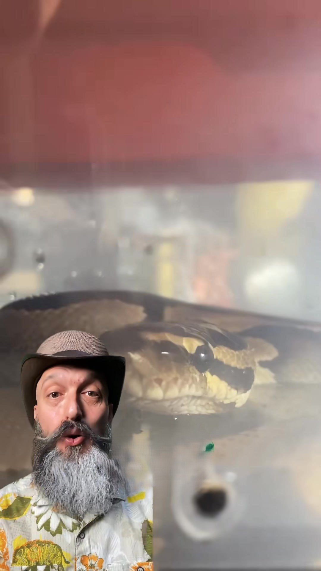 Taking care of mama!