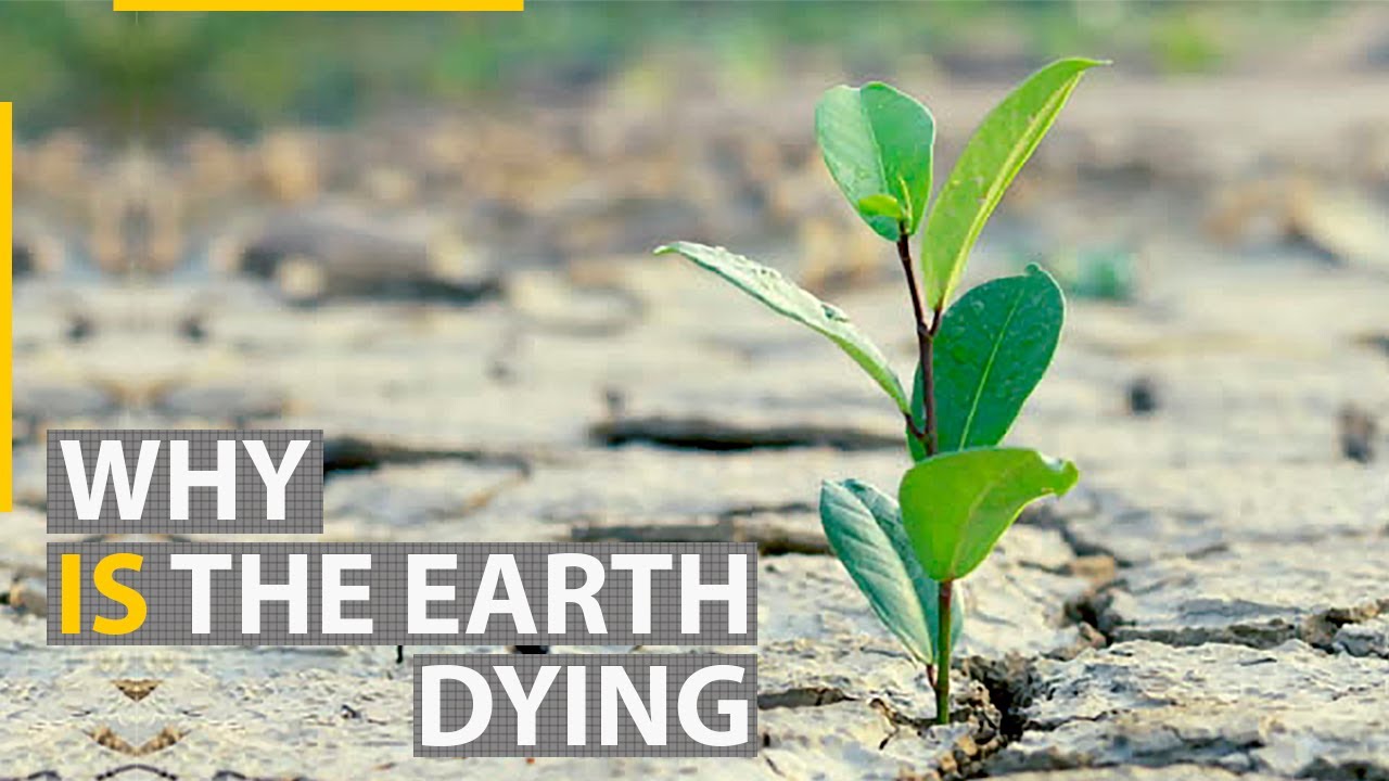 Why healthy soil matters: How our future depends on saving the ground ...