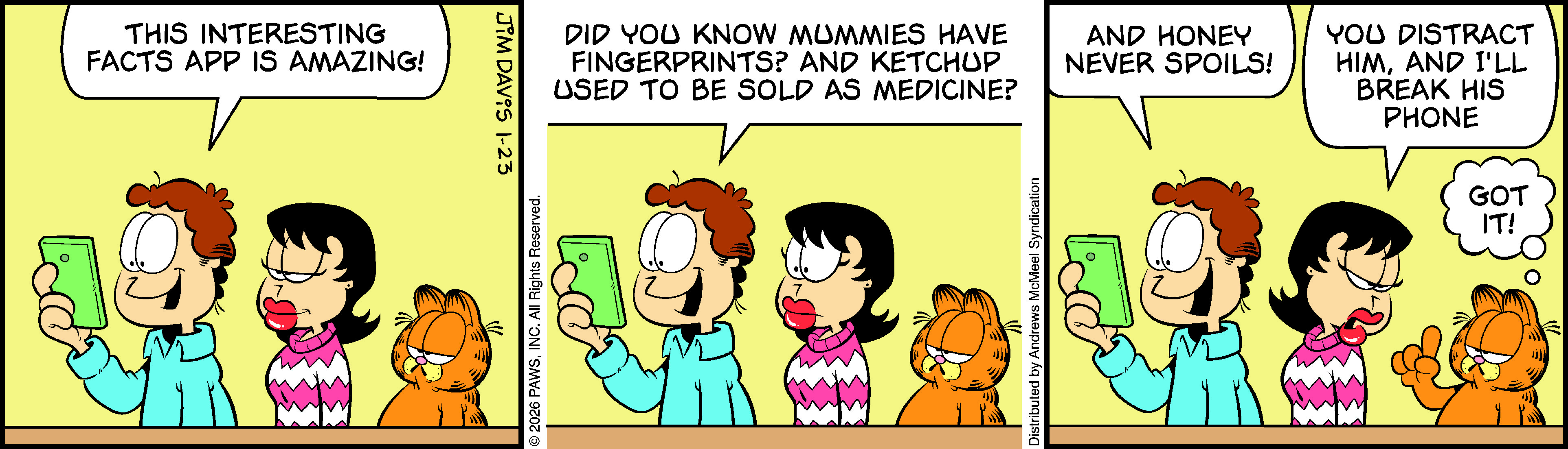 Garfield by Jim Davis