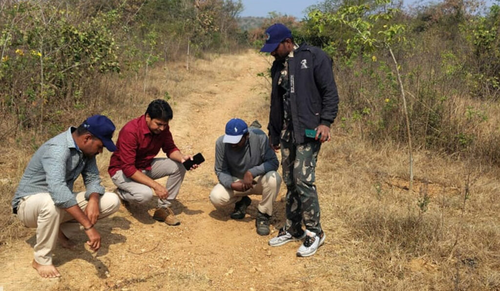 Leopard | ధర్మారెడ్డి-తాండూర్ రహదారిపై చిరుత సంచారం
