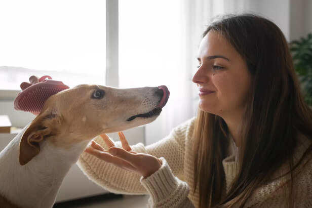 Can pets sense negative energy?