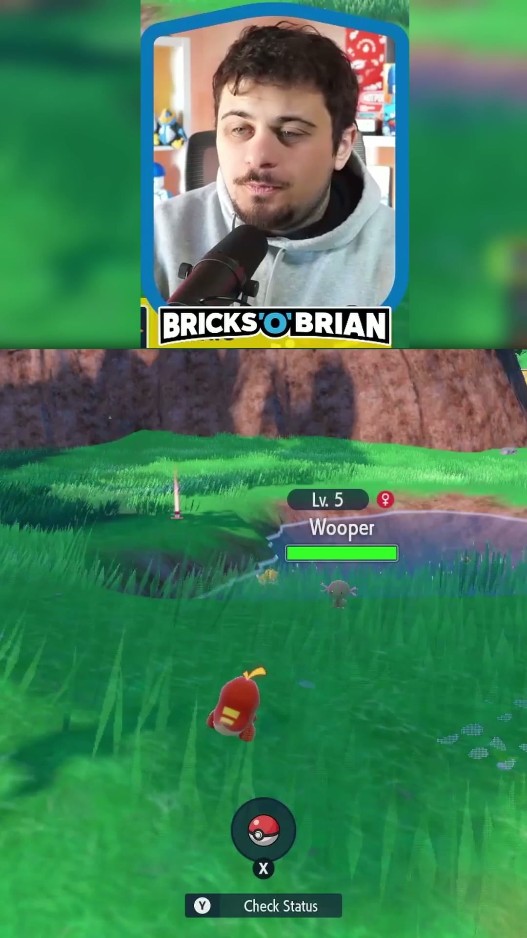 Milky brown, smooth, and cute? 😲