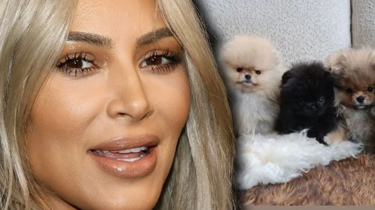 Kim Kardashian reveals hilarious names her kids gave their 4 dogs