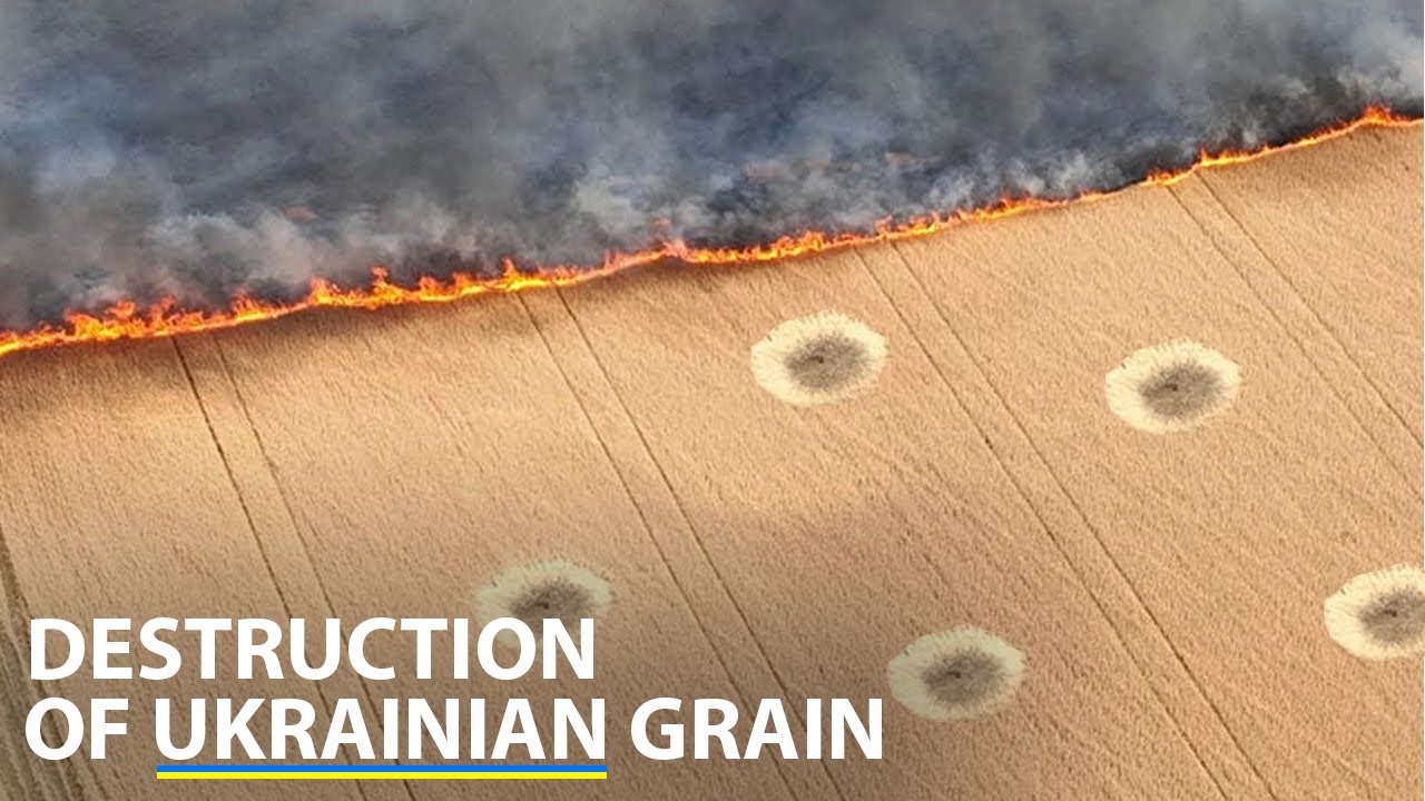 Global food crisis: How the Ukraine war threatens millions with hunger