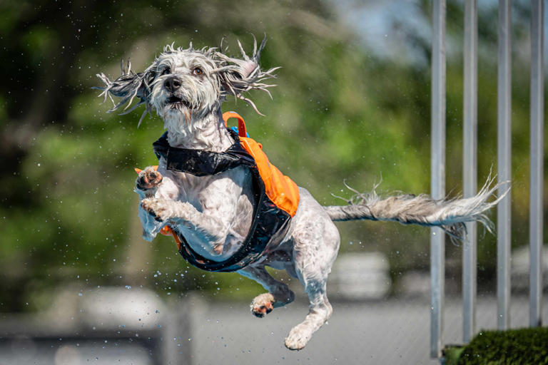 See the best photos in 2025 by Palm Beach Post, Daily News photographers