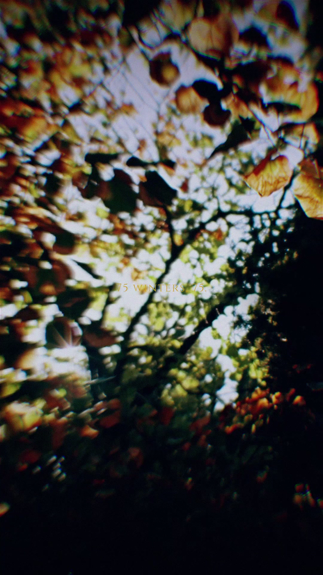 Don't waste time - motivational speech #motivation #speechforsuccess # ...