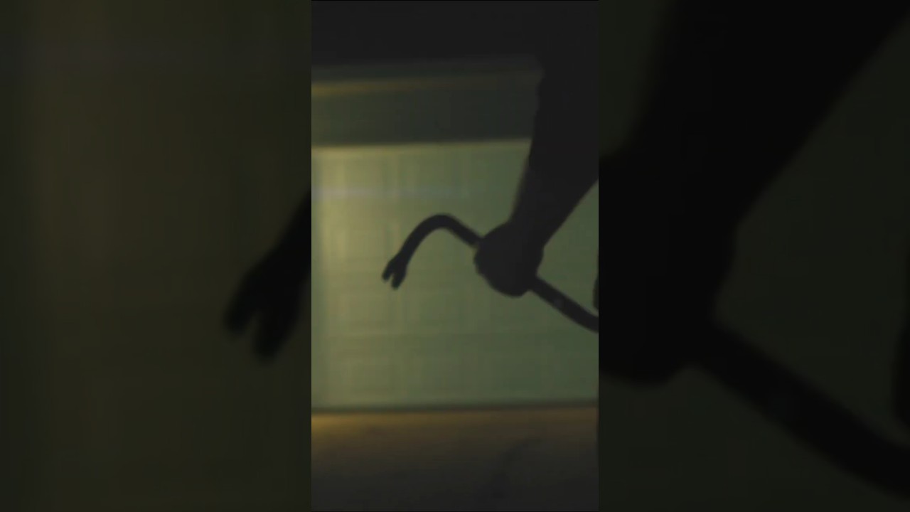 Essential tips to survive a home invasion safely