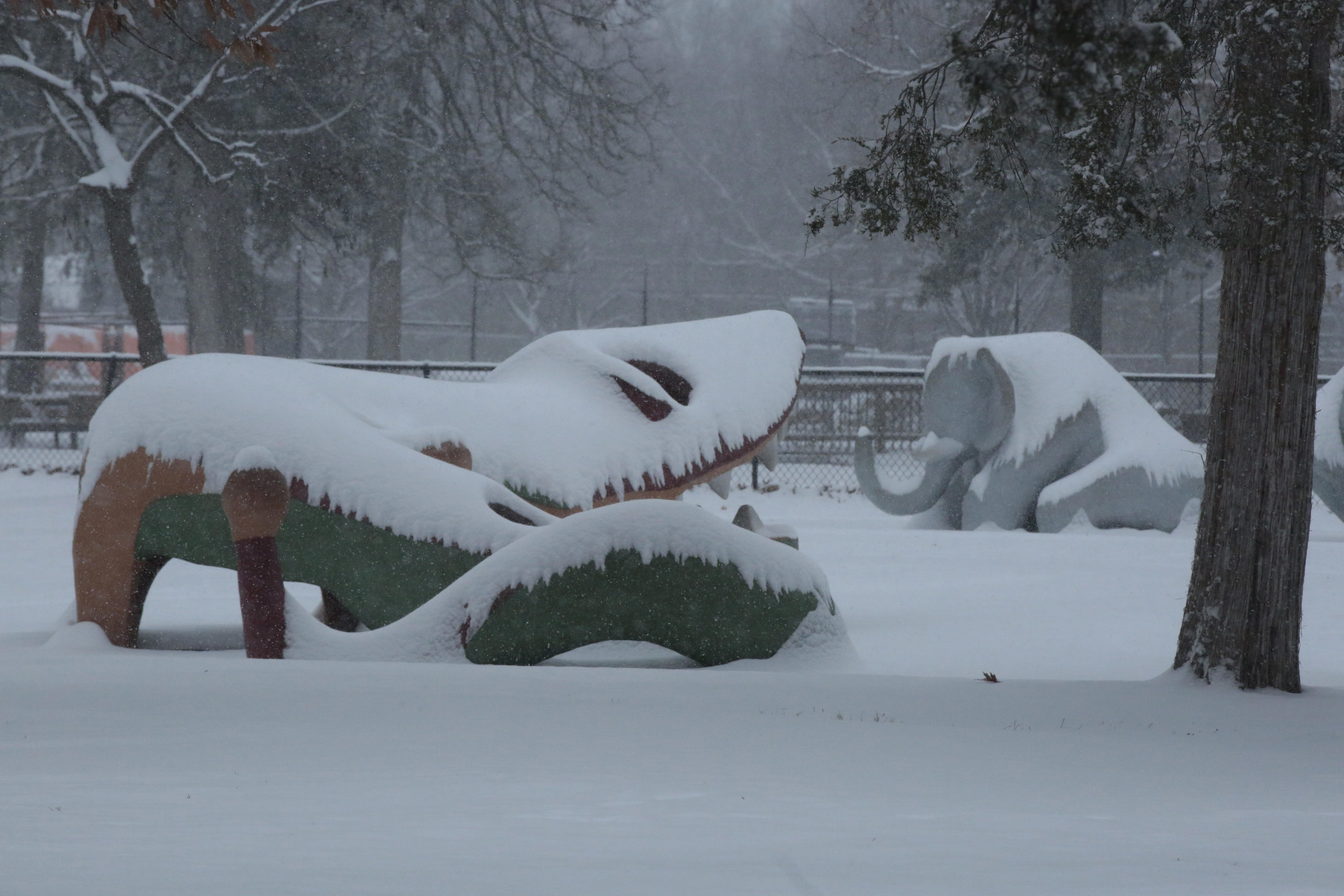 Weather forecasts differ on Kansas snowfall amounts. Who says how much?