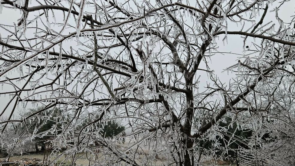 Austin prepares for icy roads and freezing rain as early morning cold ...